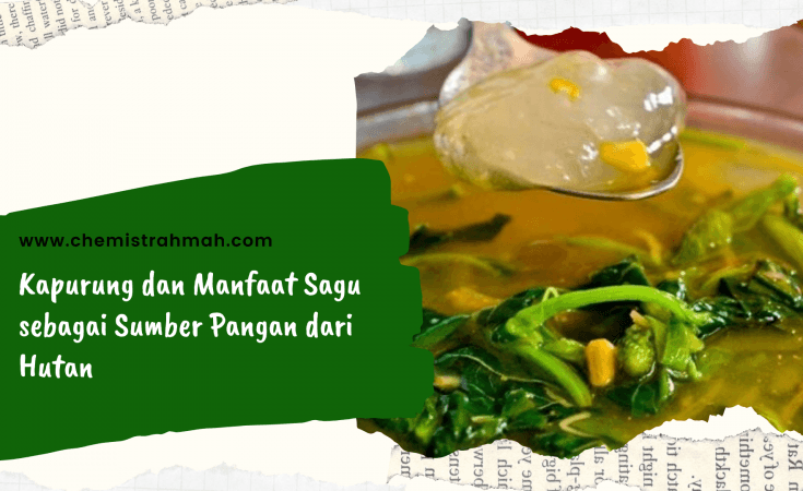 Kapurung dan Manfaat Sagu sebagai Sumber Pangan dari Hutan