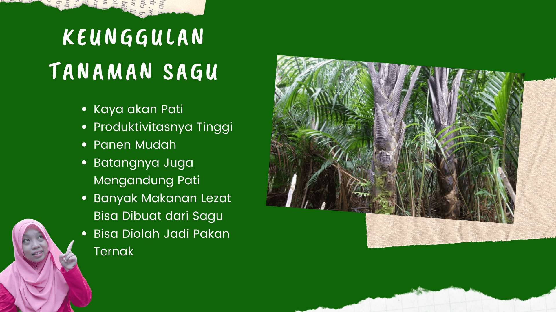 Kapurung dan Manfaat Sagu sebagai Sumber Pangan dari Hutan