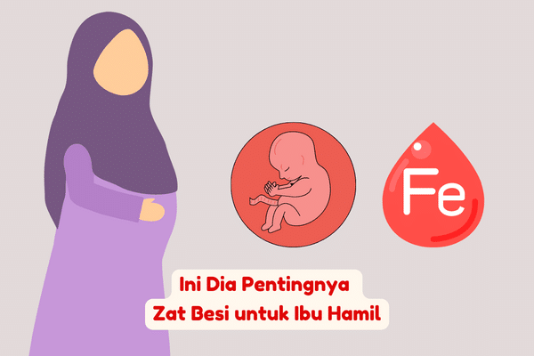 √ Ini Dia Pentingnya Zat Besi untuk Ibu Hamil