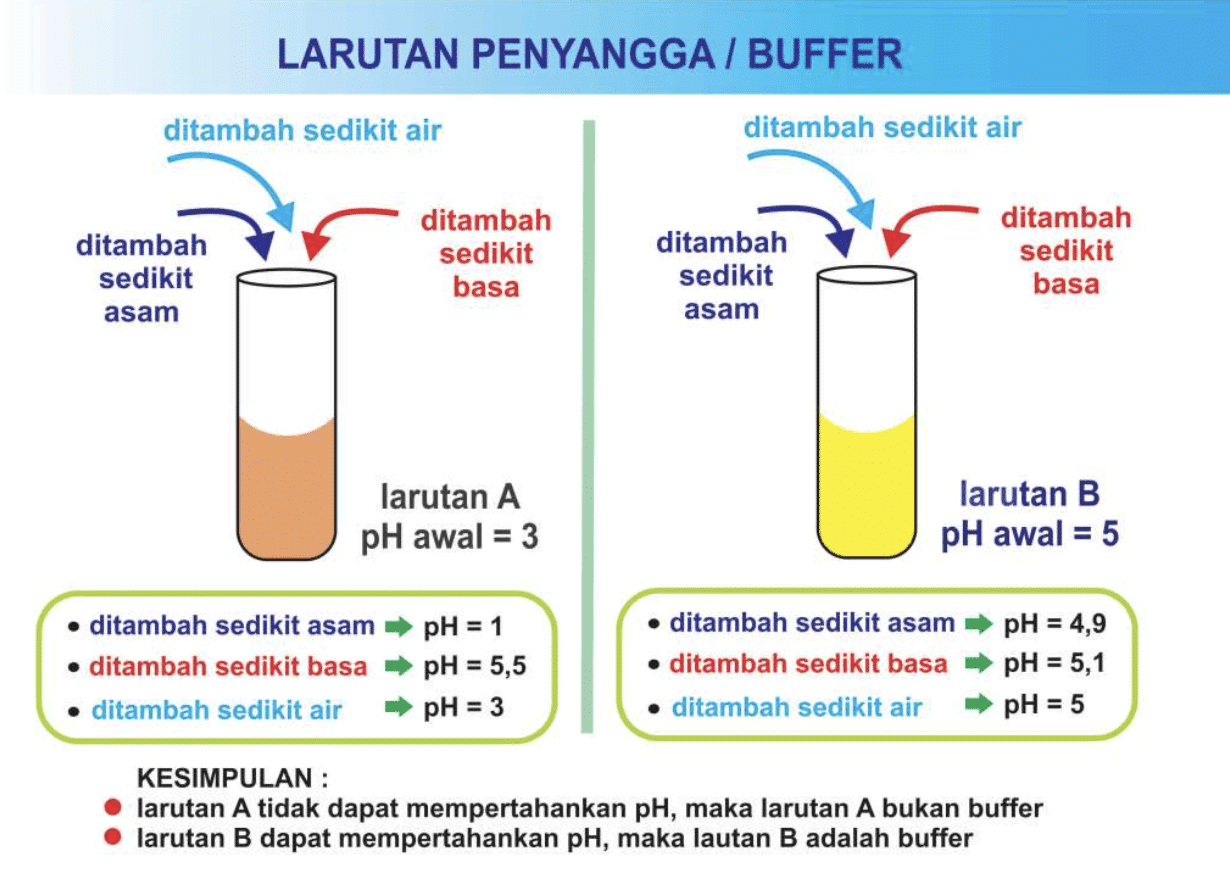 √Memahami Larutan Penyangga sebagai Materi Kimia Dasar